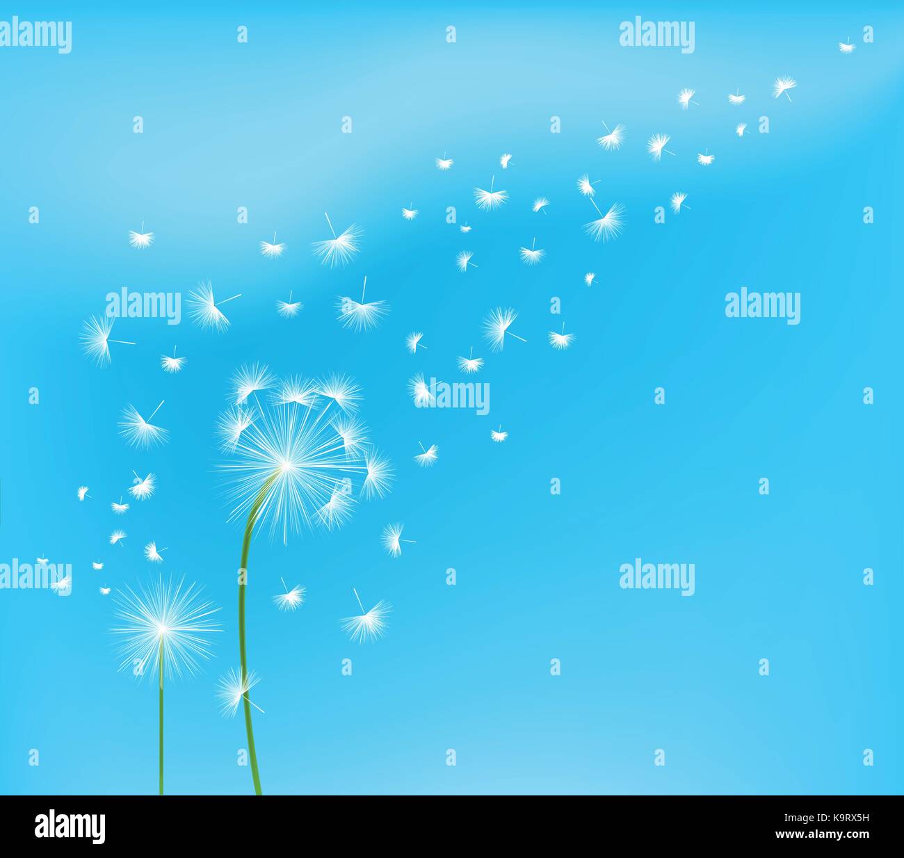 Delicate blue flowers meadow Stock Vector Images - Alamy