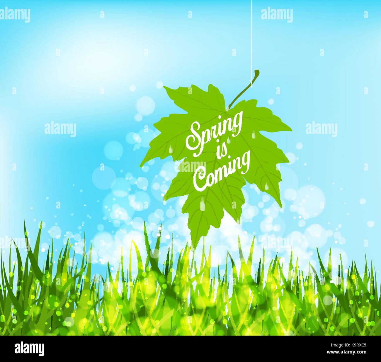 Drawing pin string leaf Stock Vector Images - Alamy