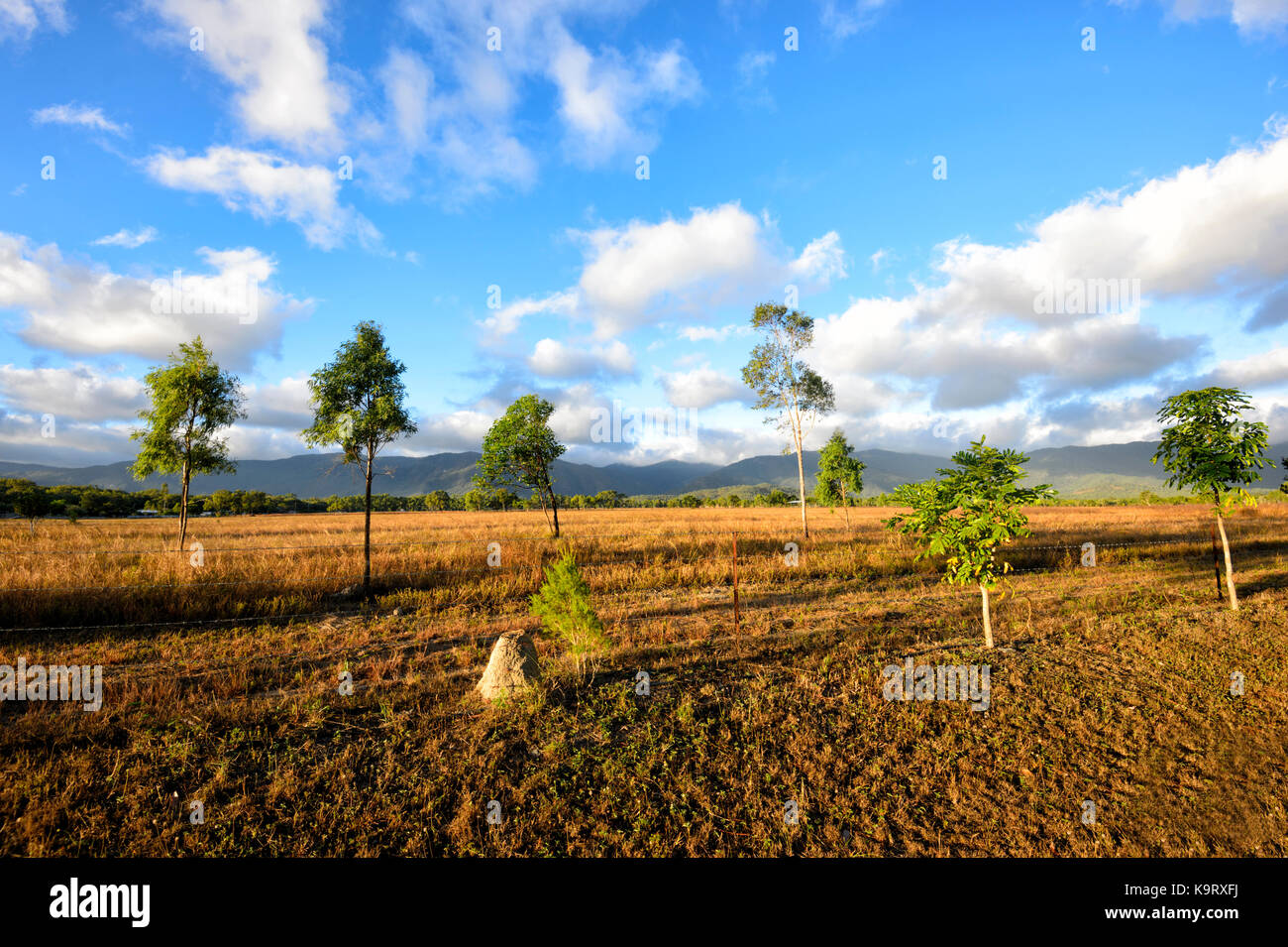 View of Mt Carbine countryside, Far North Queensland, FNQ, QLD ...