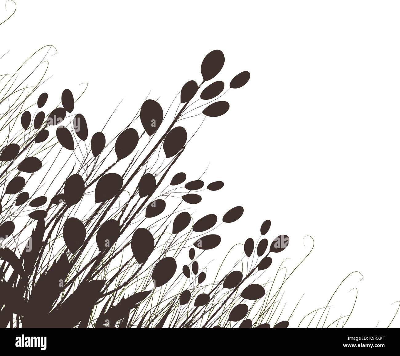 Floral corner image Stock Vector Images - Alamy