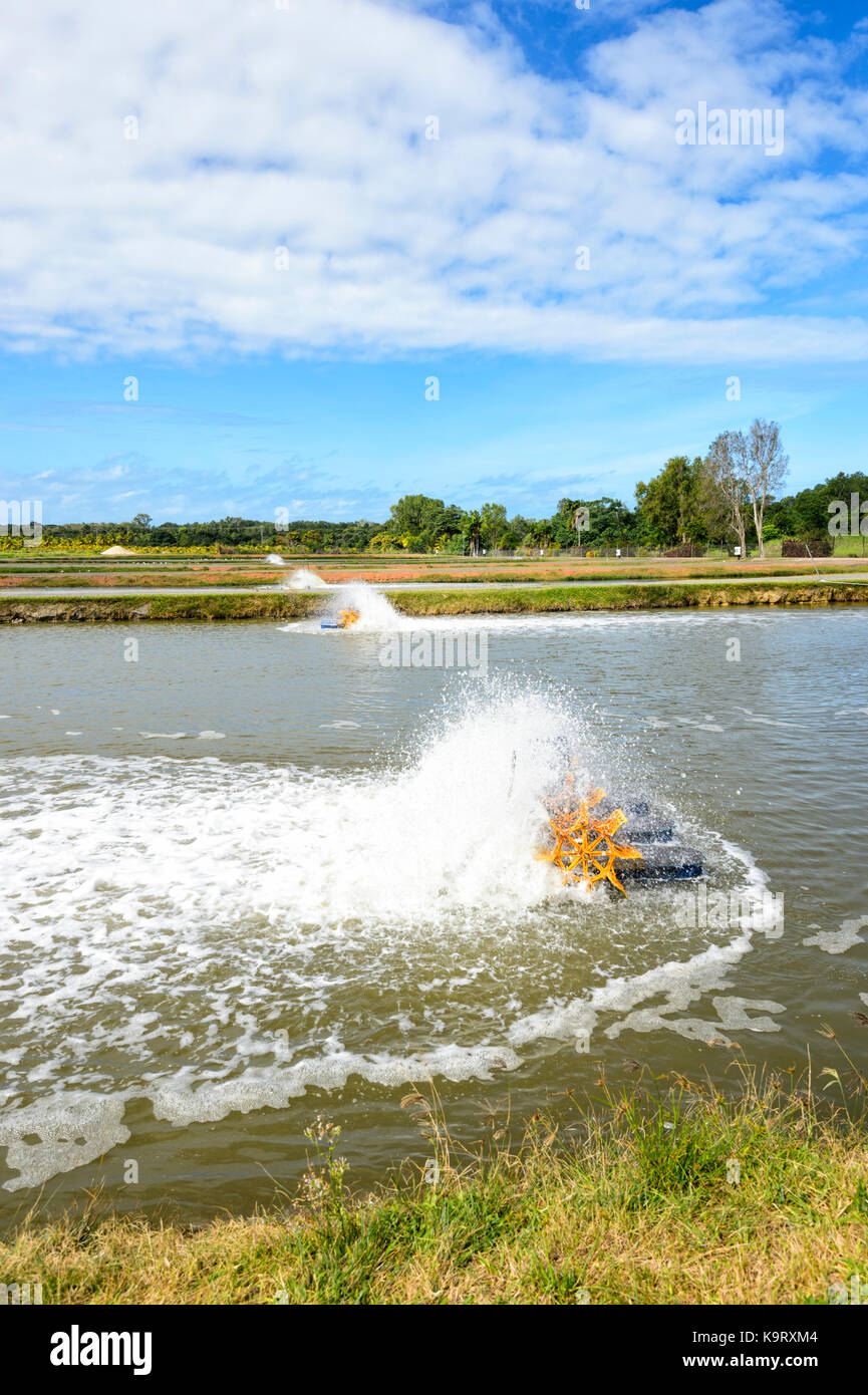 Aerators or Paddlewheels at the Hook-a-Barra barramundi farm, Mossman ...
