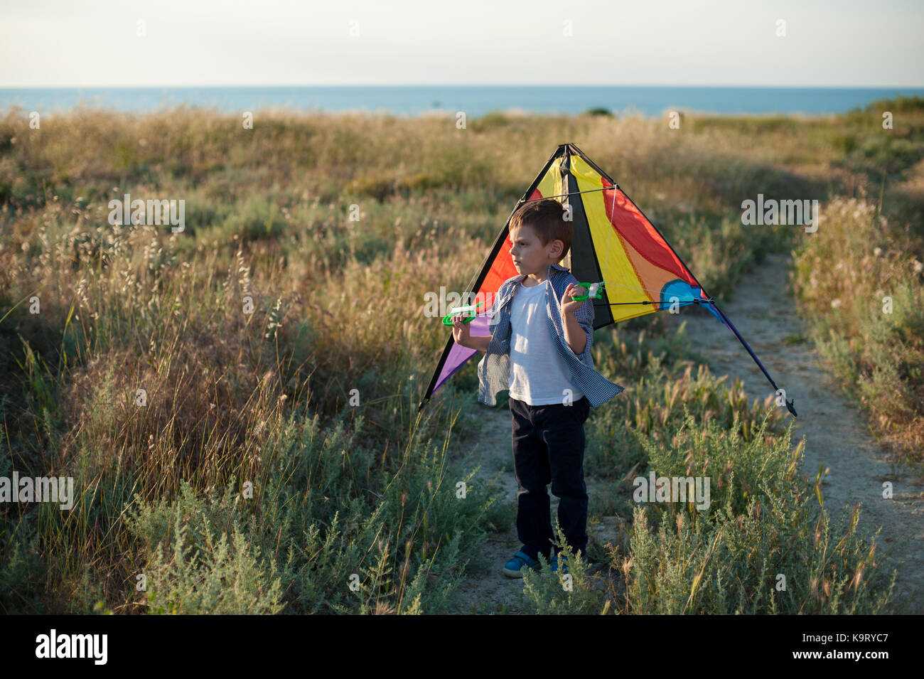 dreaming little boy holding colorful kite behind his shoulders standing ...