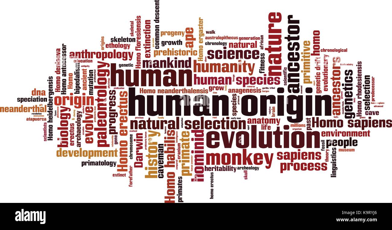 Human origin word cloud concept. Vector illustration Stock Vector Image ...