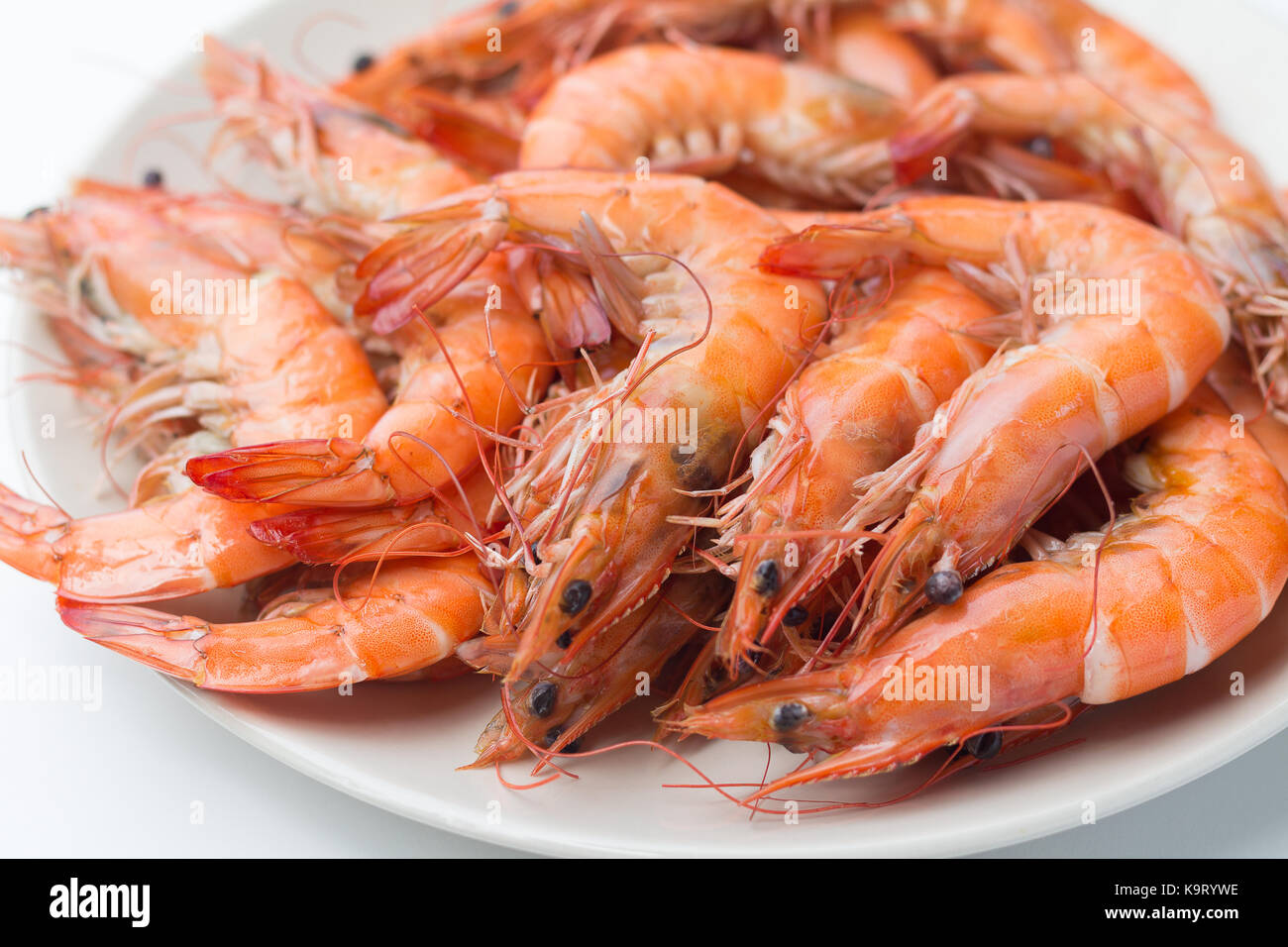 fresh seafood shrimp in white plate and isolated on white background ...