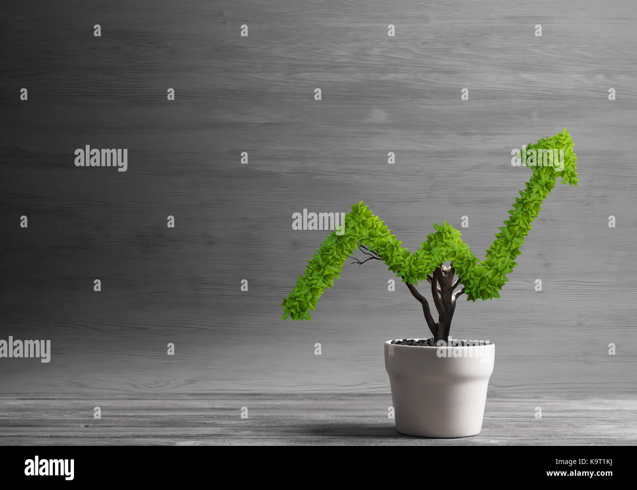 Concept of investment income and growth with tree in pot Stock Photo ...