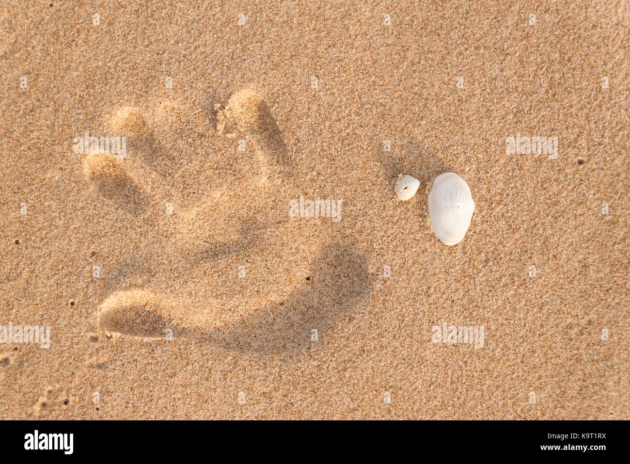 finger print in sand on the beach. Memories of the sea. Greetings from ...