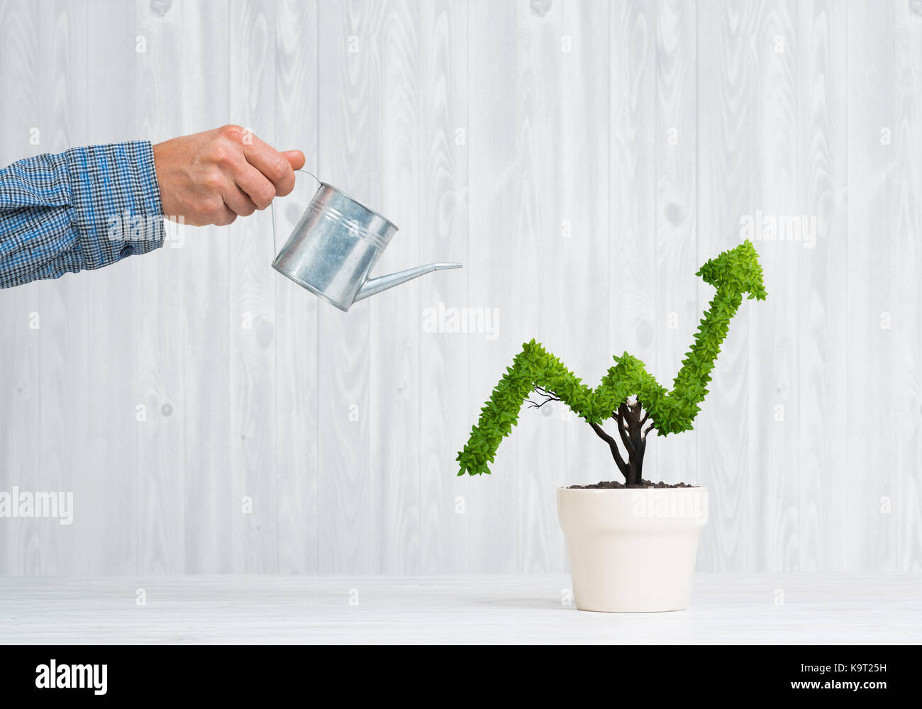 Concept of investment income and growth with tree in pot Stock Photo ...