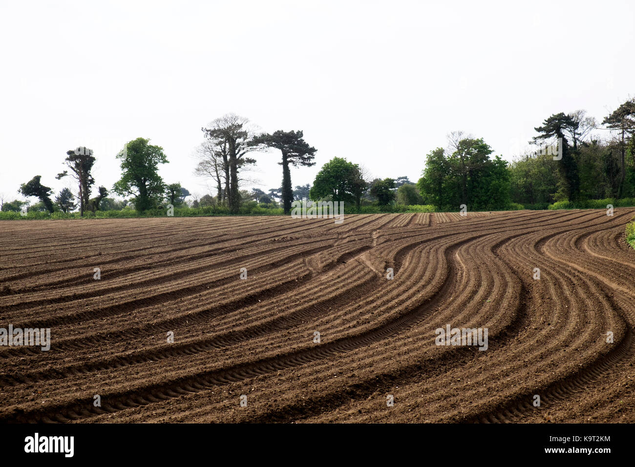 Farmland and farming hi-res stock photography and images - Alamy