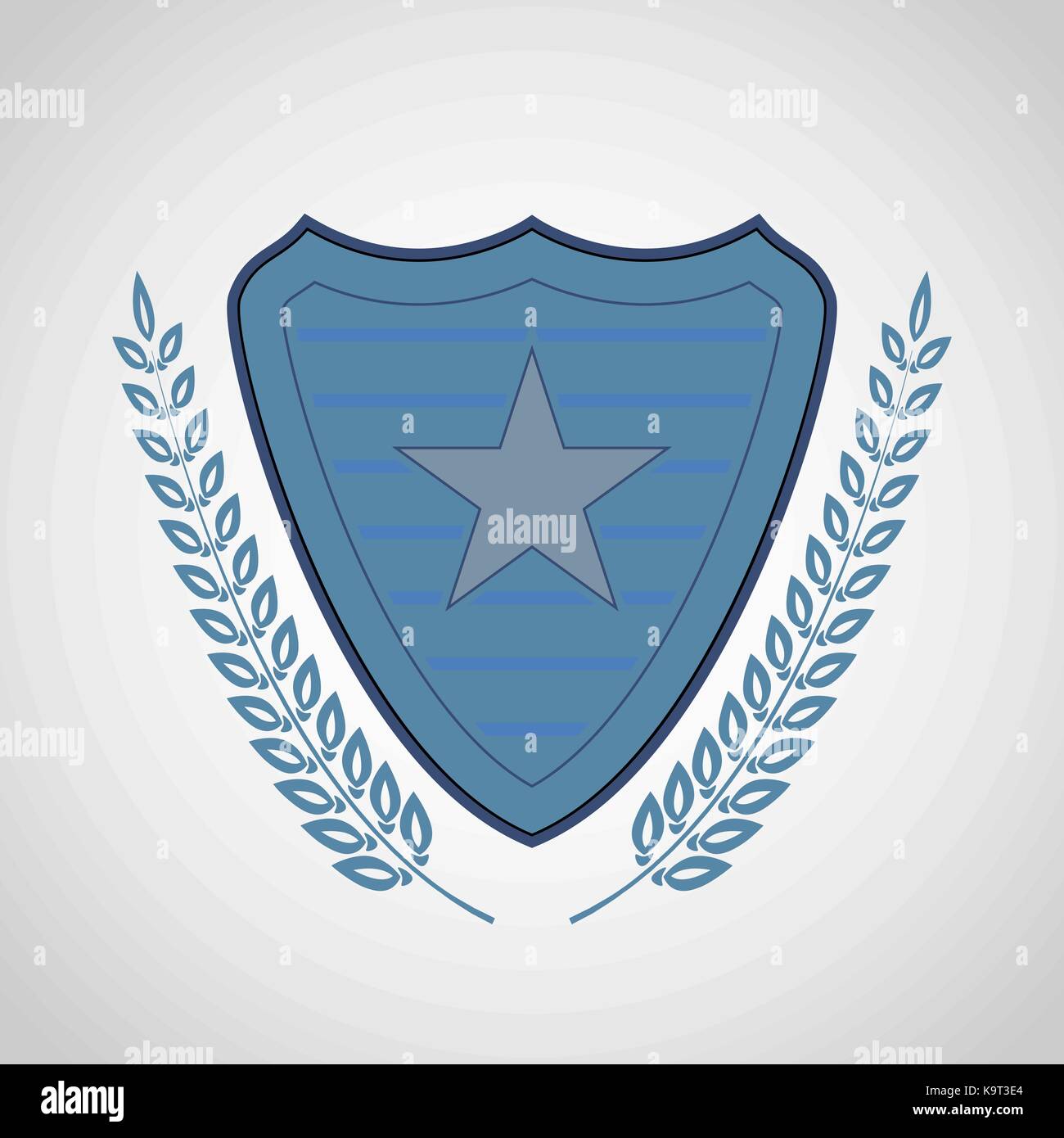 The vector flat shield with star symbol Stock Vector Image & Art - Alamy