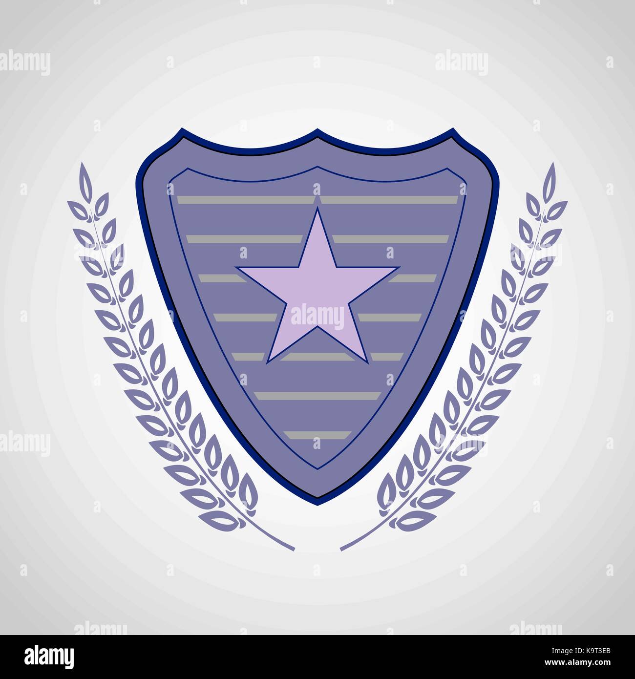 The vector flat shield with star symbol Stock Vector Image & Art - Alamy