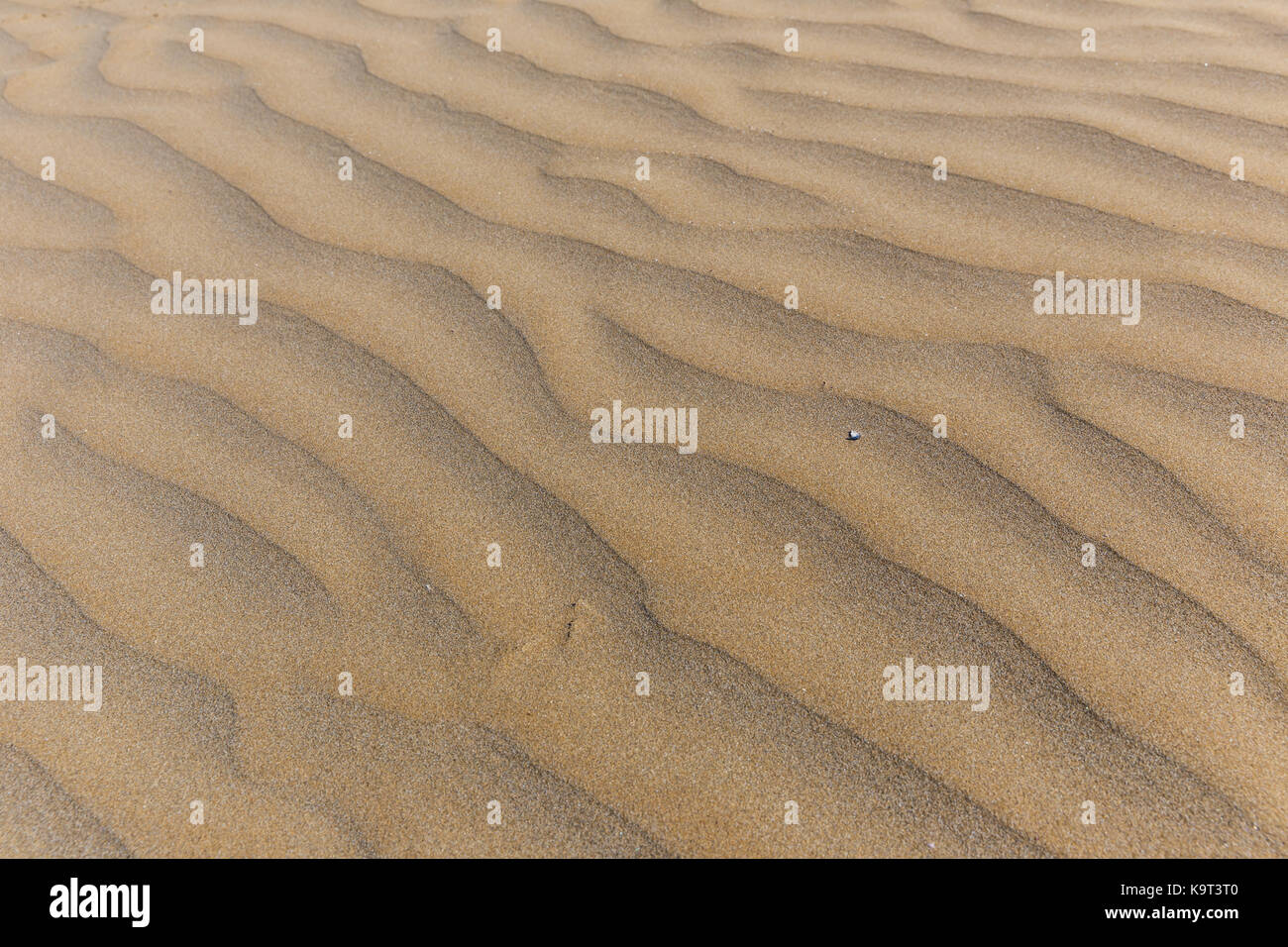 Texture of sand on the beach Stock Photo - Alamy