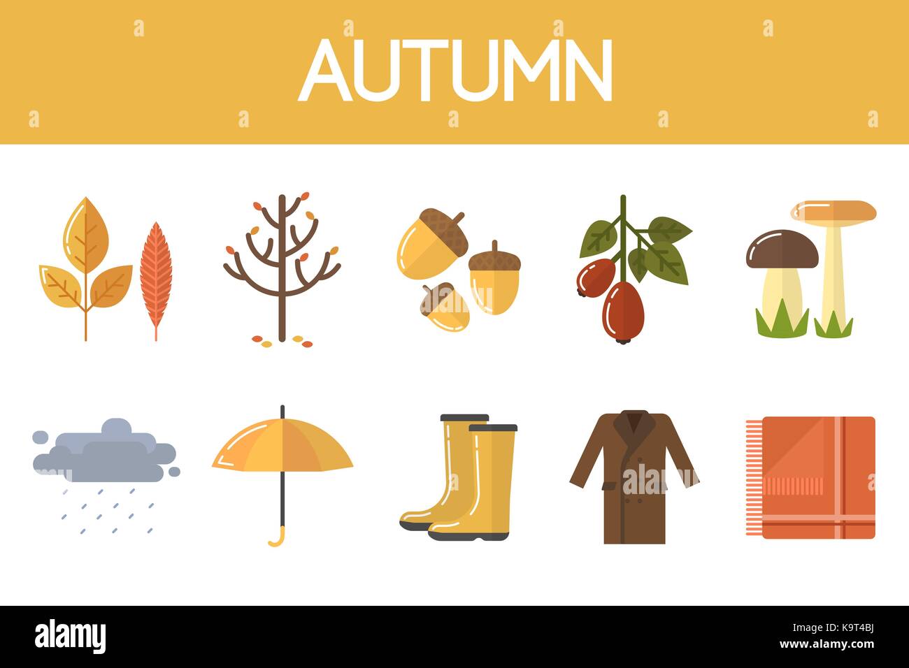 Yellow autumn beech tree Stock Vector Images - Alamy