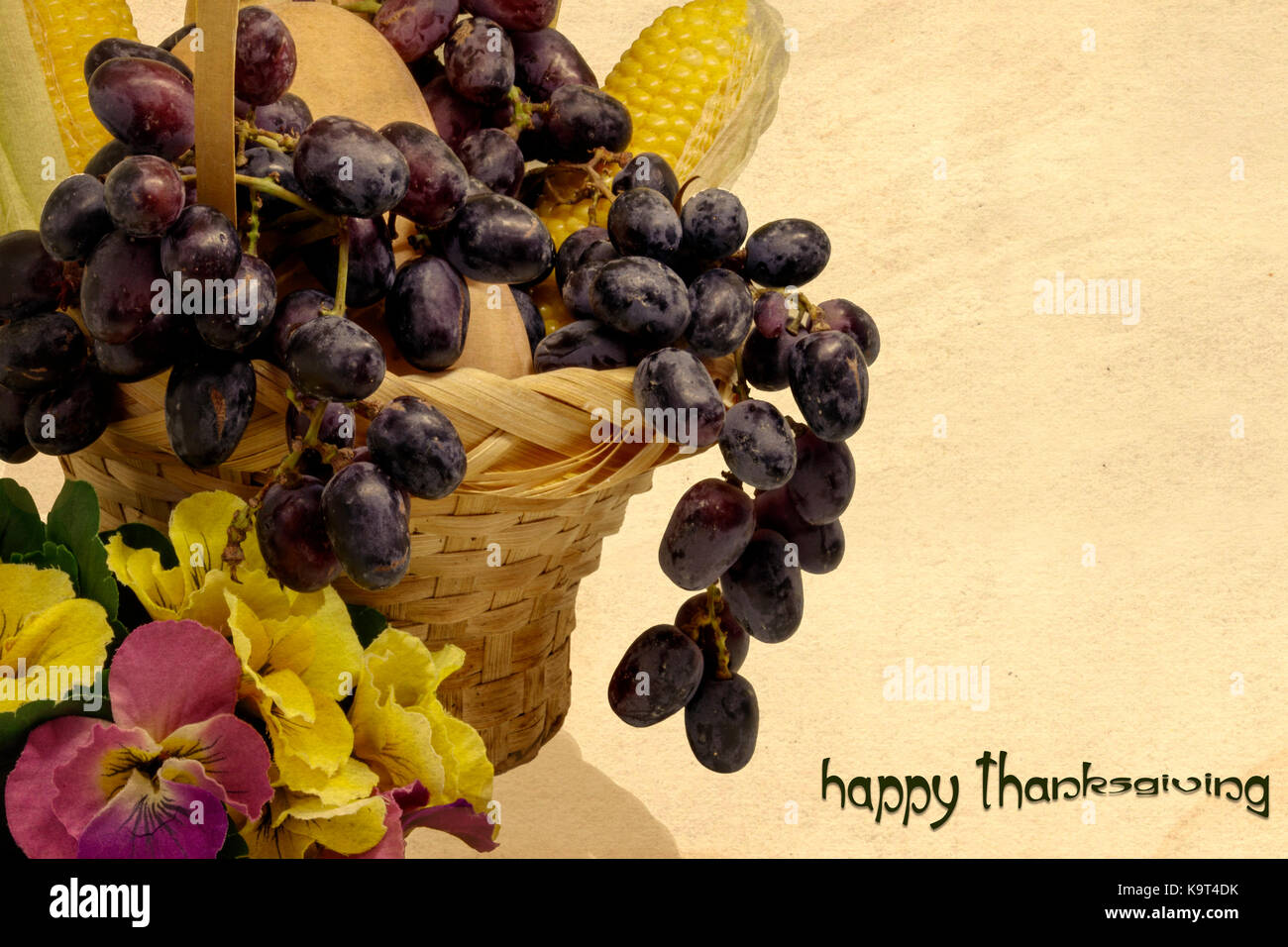 Thanksgiving day postcard congratulations happy hi-res stock ...