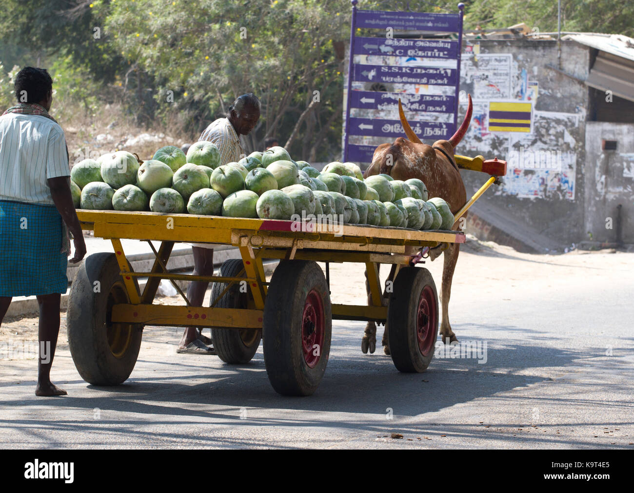 Watermelon carry hi-res stock photography and images - Alamy