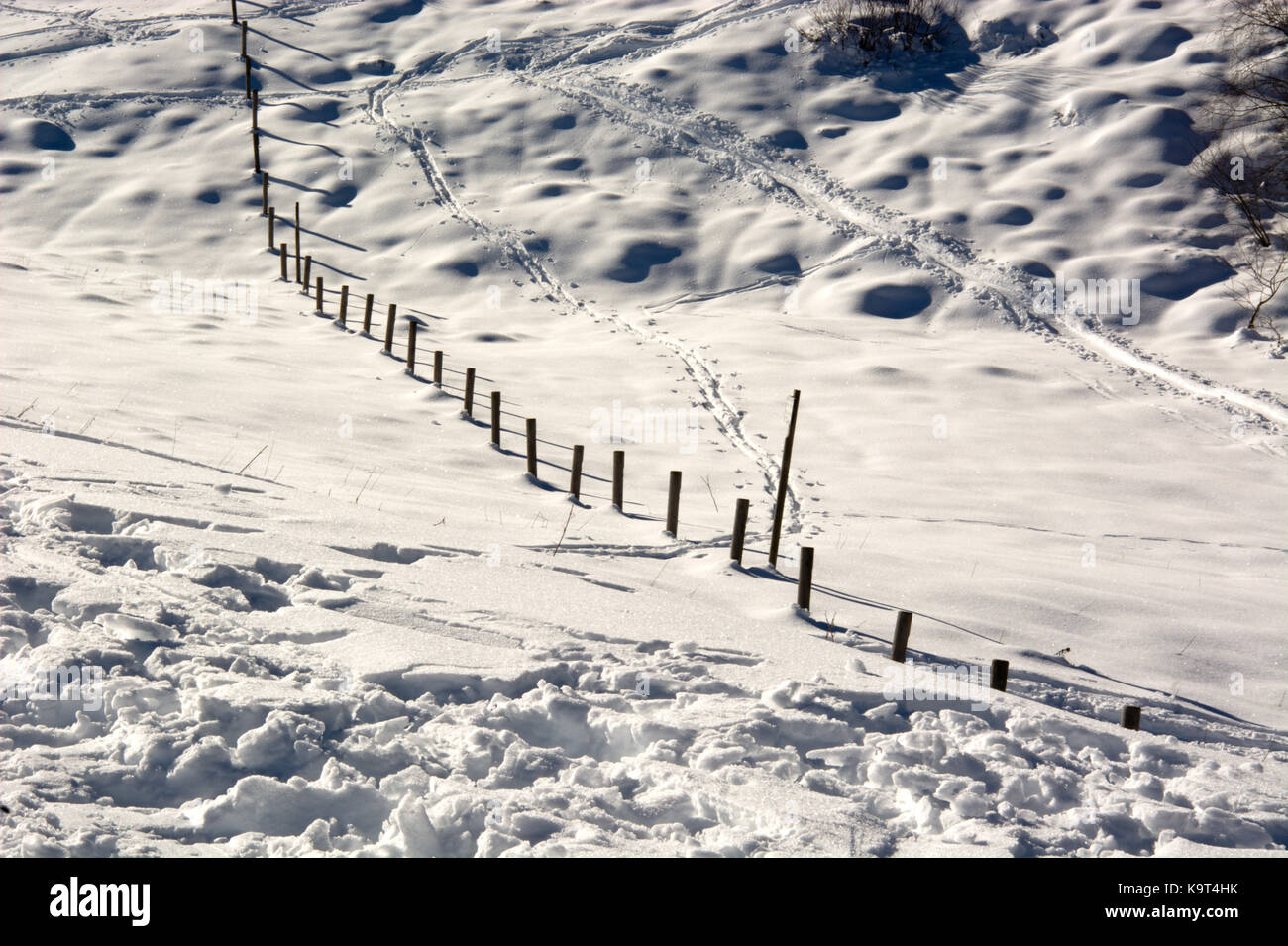 winter landscapes of white snow Stock Photo - Alamy