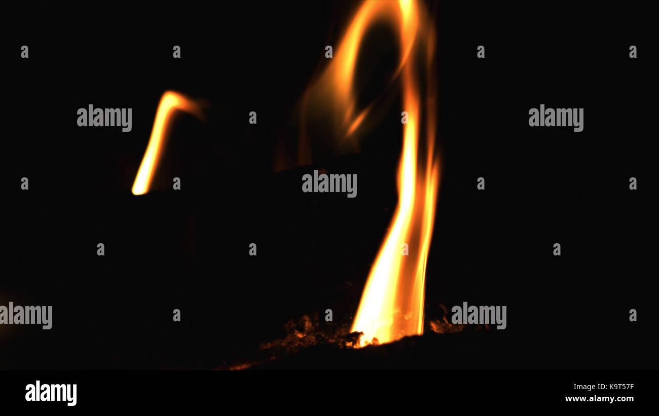 Closeup of burning red fire wood on black background. Burning firewood ...