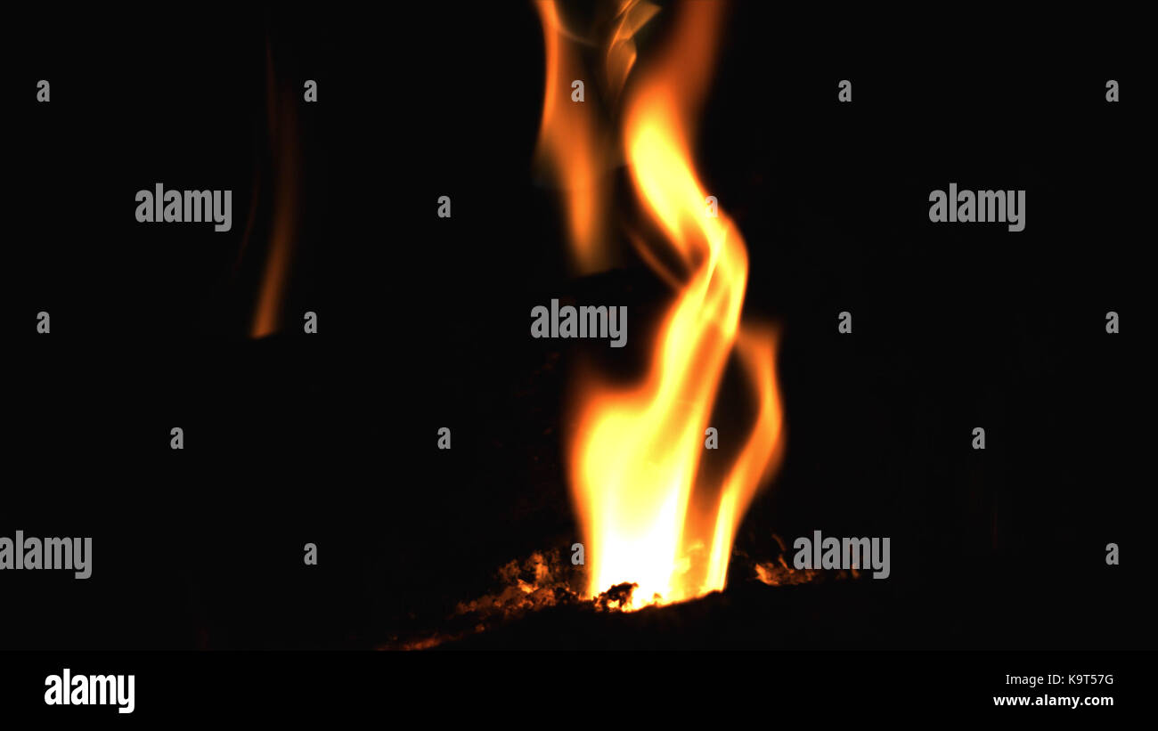 Closeup of burning red fire wood on black background. Burning firewood ...