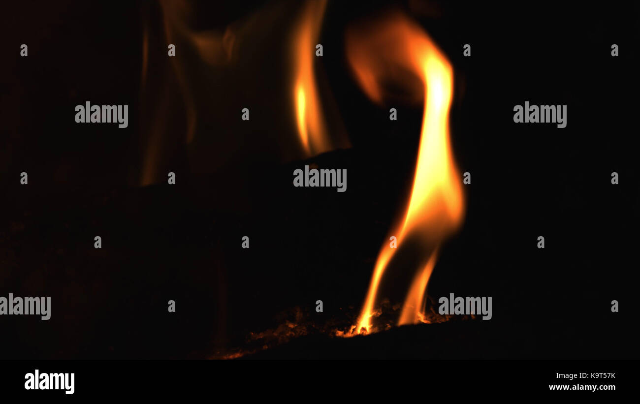 Closeup of burning red fire wood on black background. Burning firewood ...