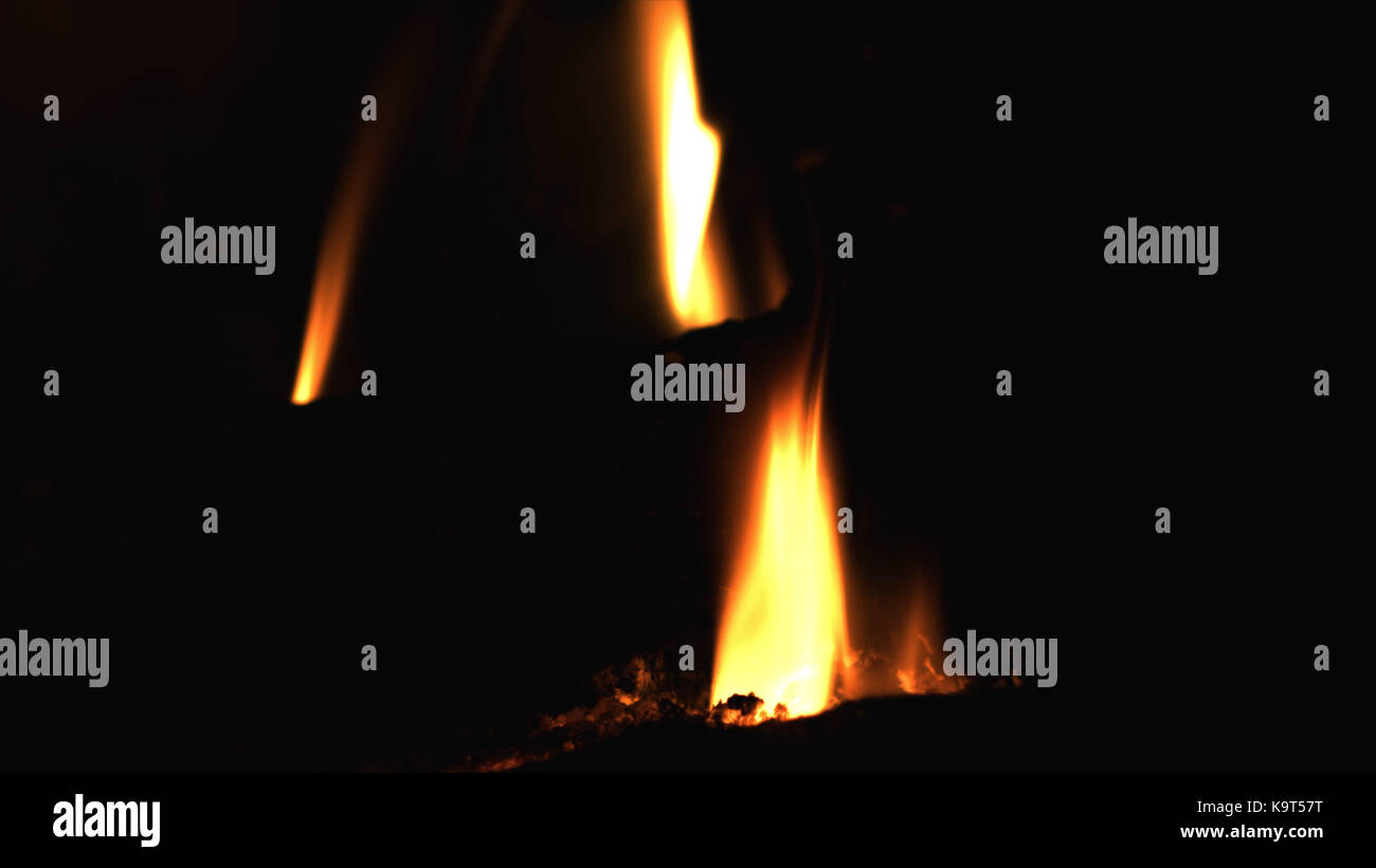 Closeup of burning red fire wood on black background. Burning firewood ...