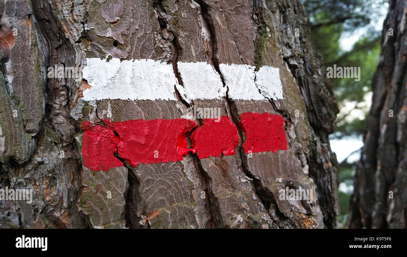 Red and White GR Footpath in the French Alps Stock Photo - Alamy