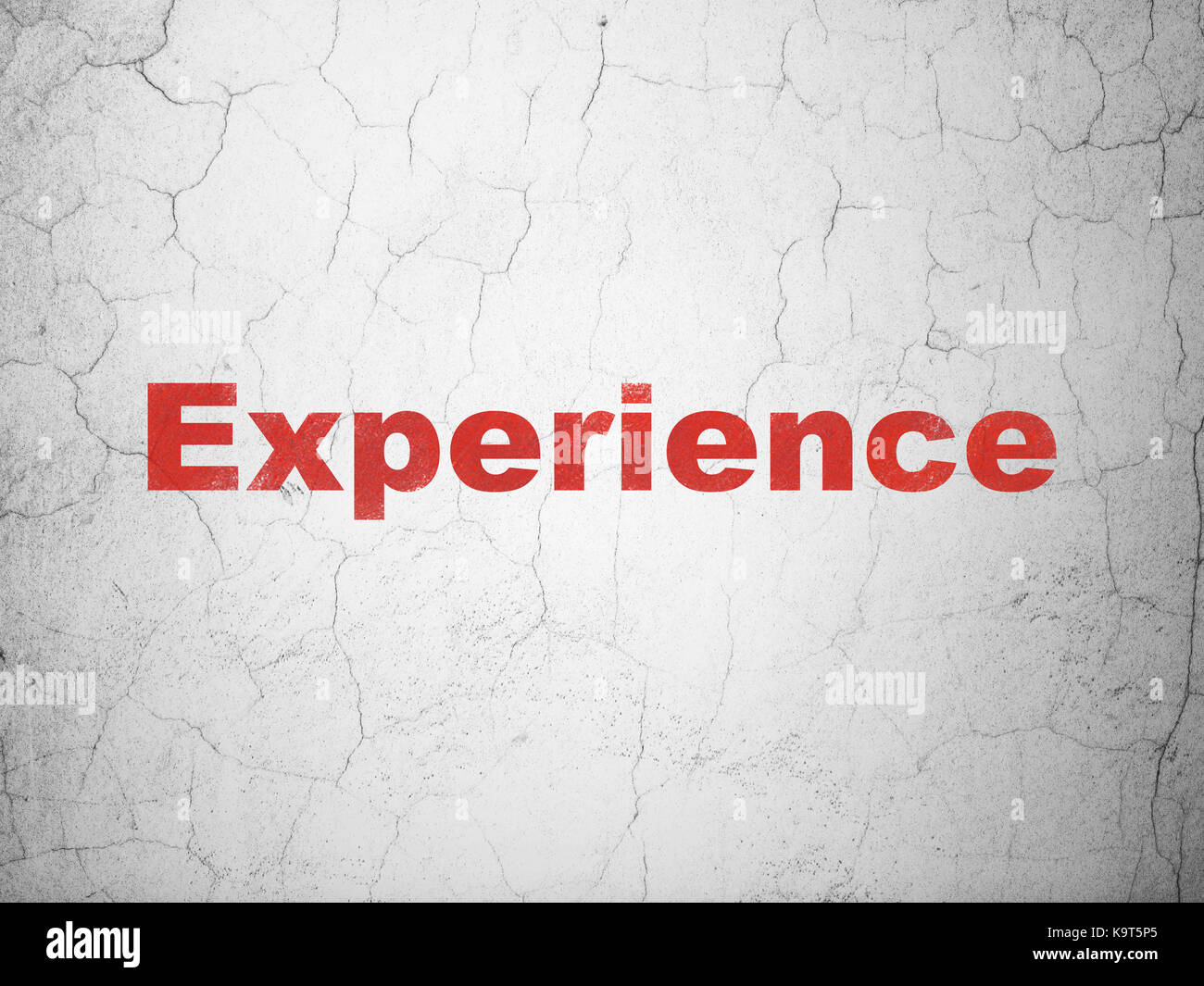 Finance concept: Experience on wall background Stock Photo - Alamy