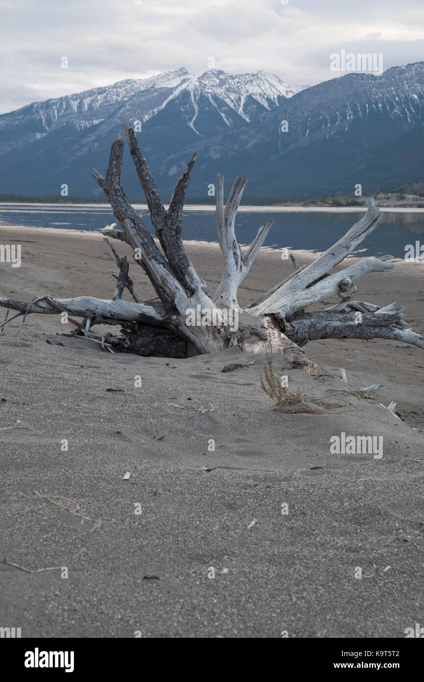 Jasper landscape hi-res stock photography and images - Alamy