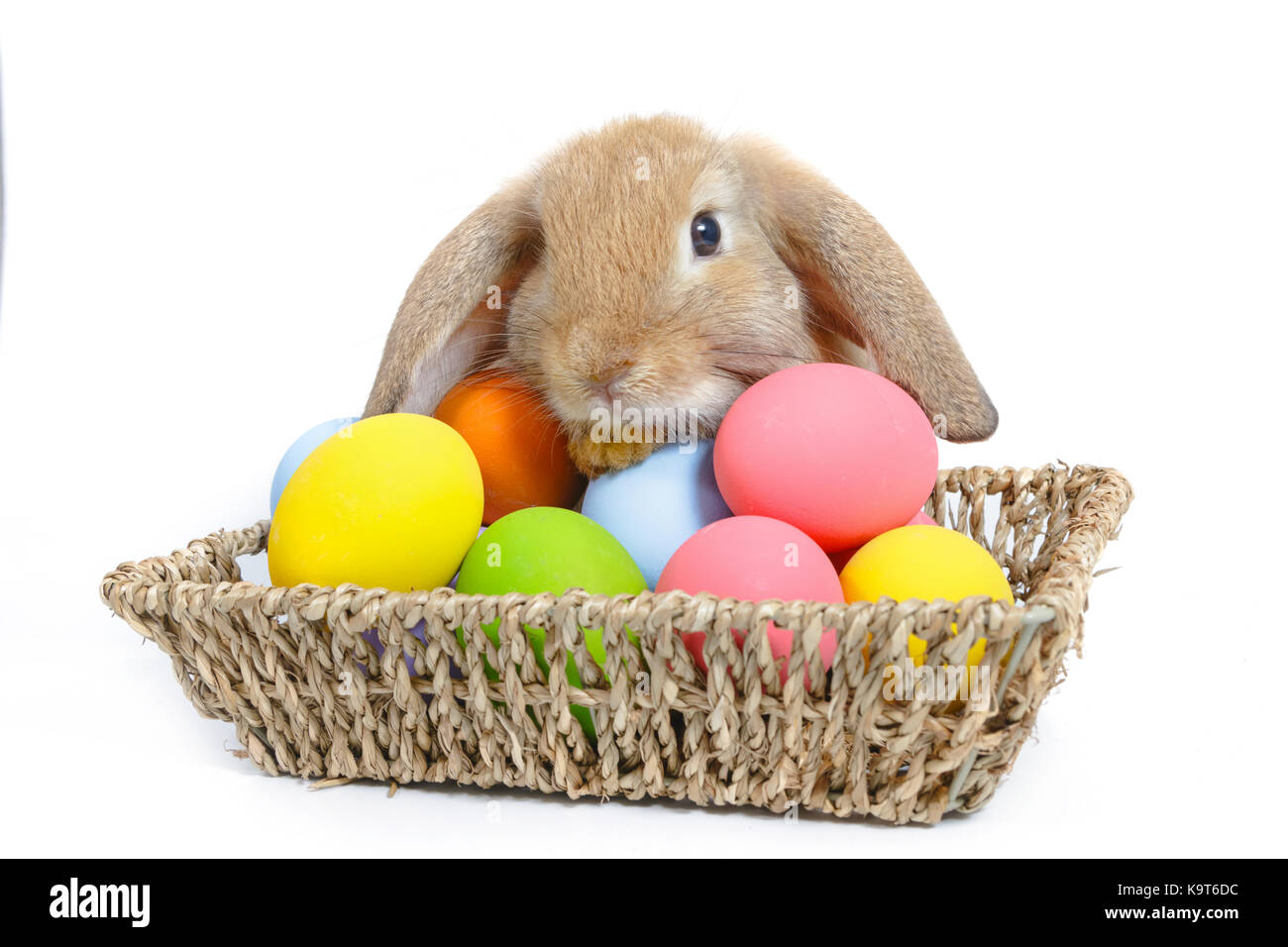Cute little easter bunny with basket Stock Photo - Alamy