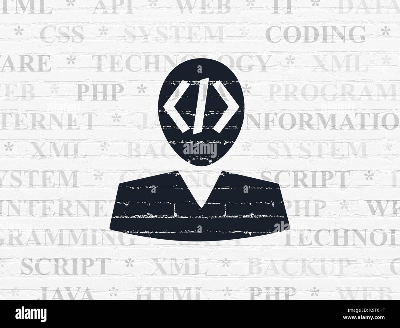 Database concept: Programmer on wall background Stock Photo - Alamy