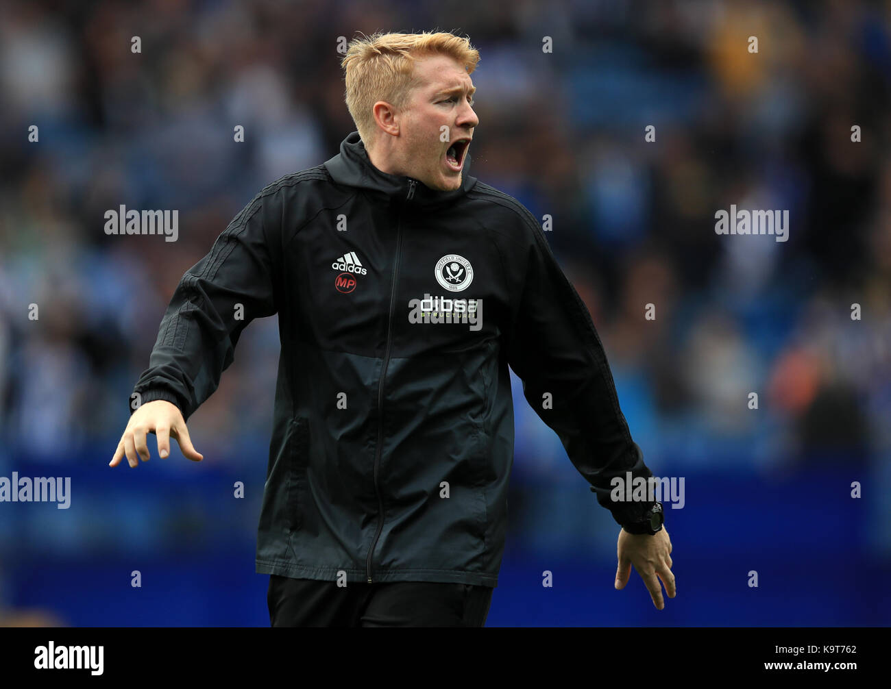 Sheffield United's Head of Sports Science Matt Prestridge during the ...