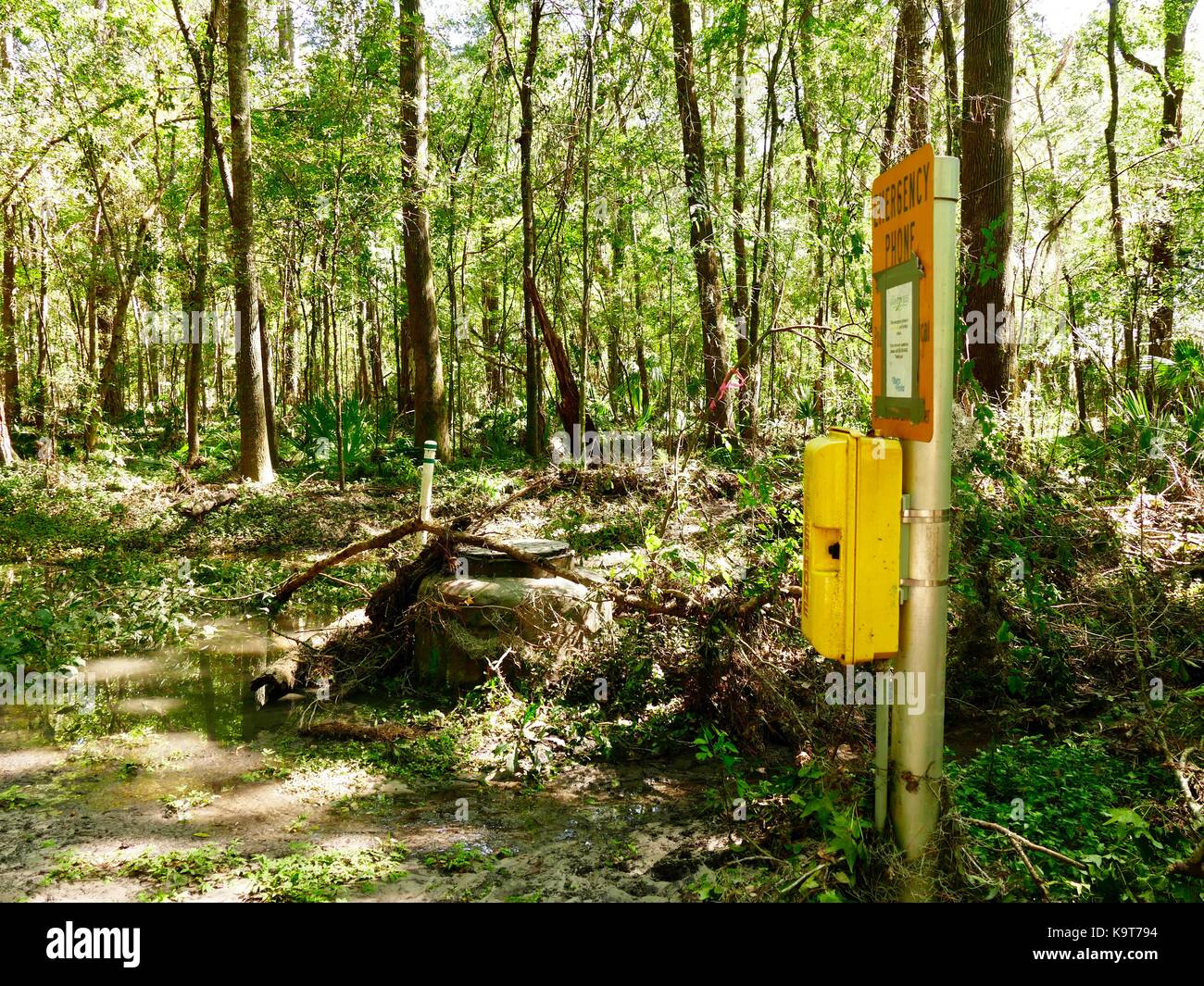 Emergency call box, telephone box, along flooded path in middle of ...