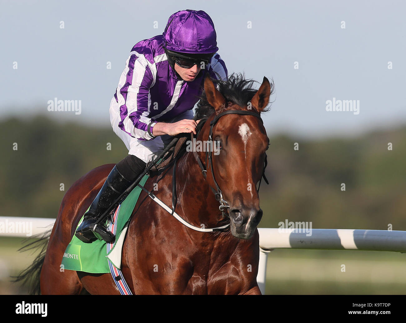 Saxon warrior juddmonte hi-res stock photography and images - Alamy