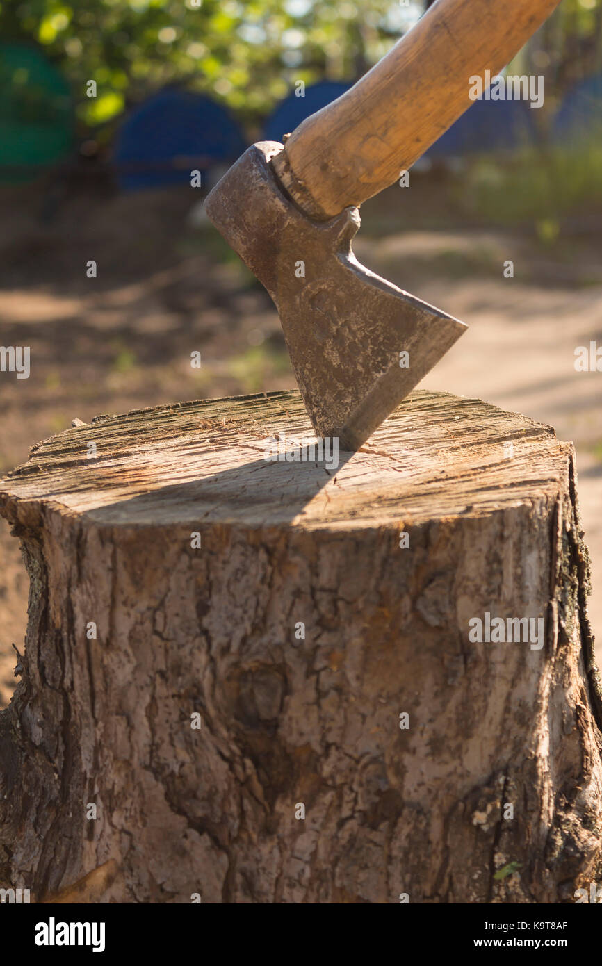 Ready for cutting timber. Close-up of axe cutting log while other logs ...