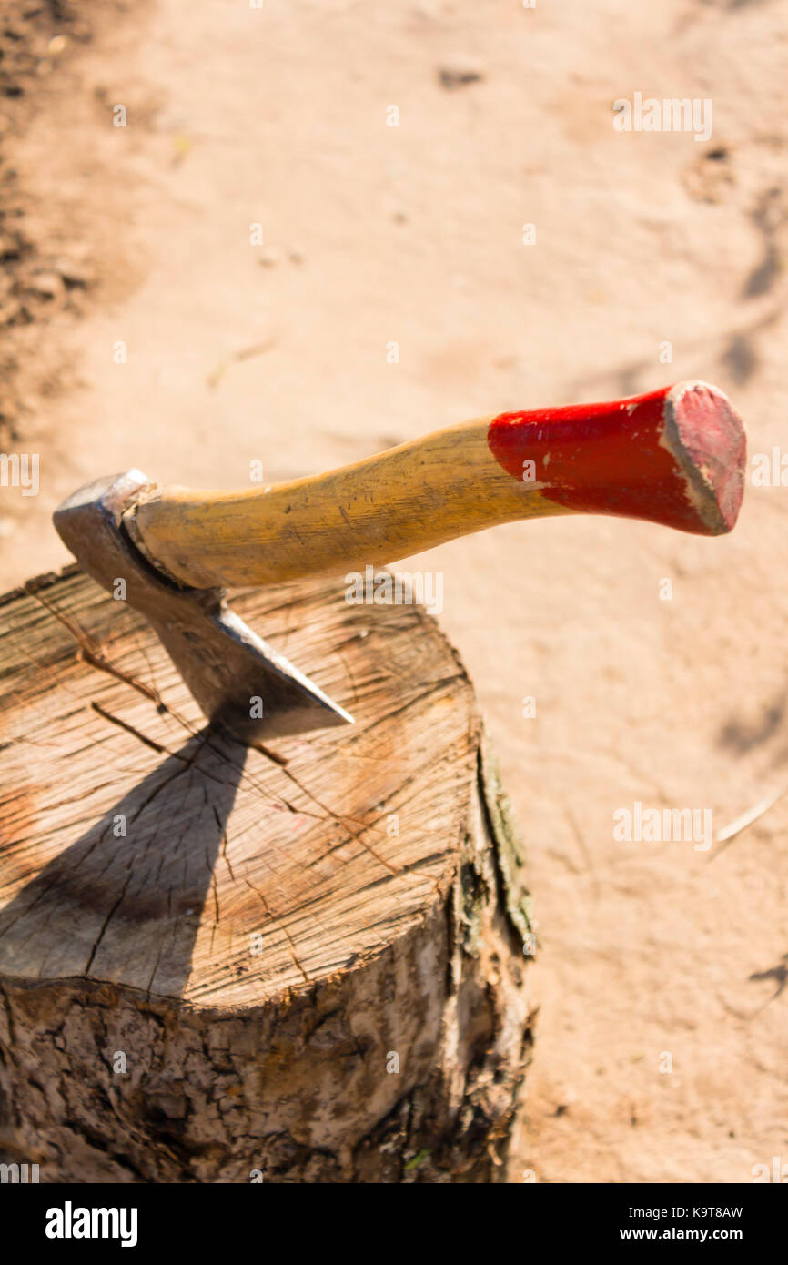 Ready for cutting timber. Close-up of axe cutting log while other logs ...