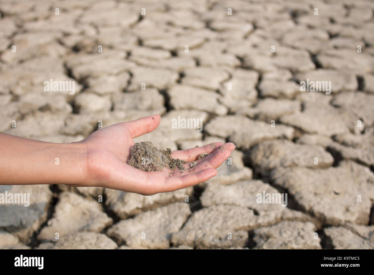 Scattering Seeds Stock Photos & Scattering Seeds Stock Images - Alamy