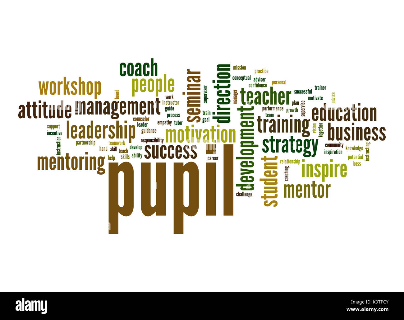 Pupil word cloud Stock Photo - Alamy