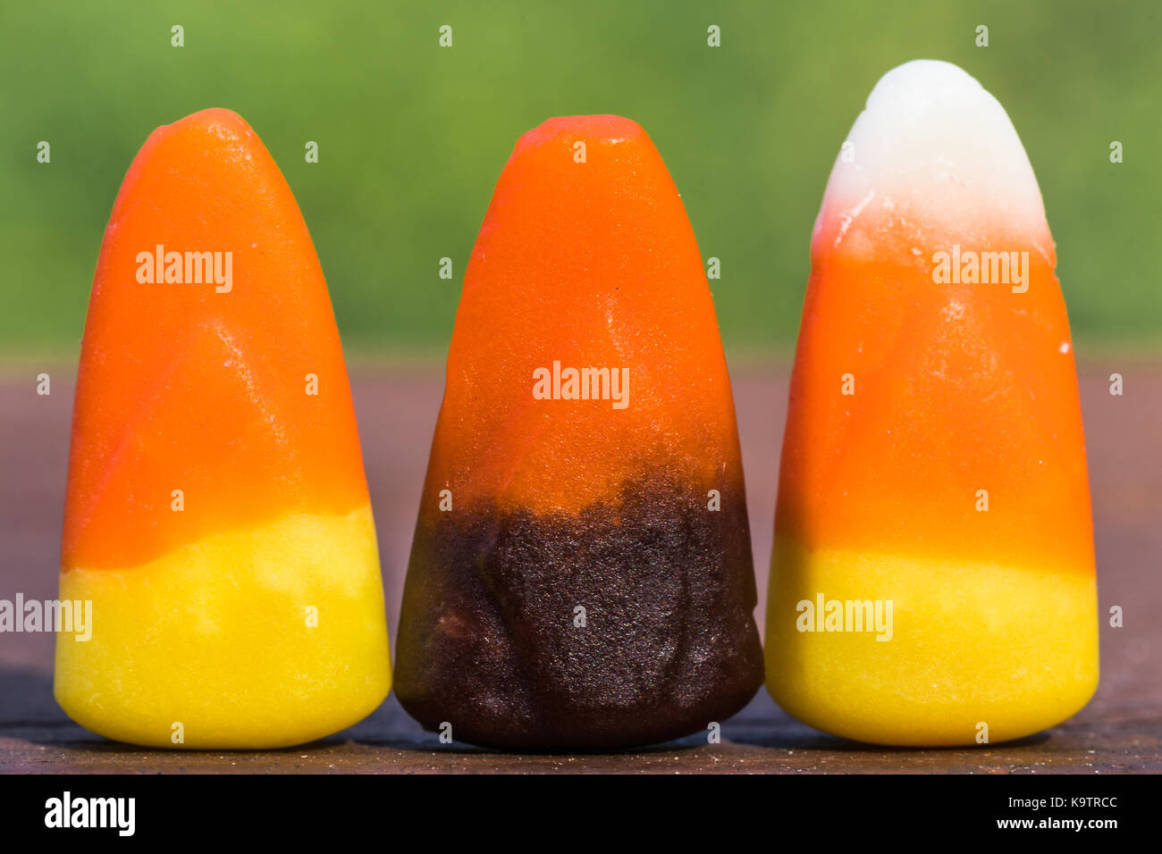 Horizontal macro photo of 3 different candy corns in a row on a wood ...