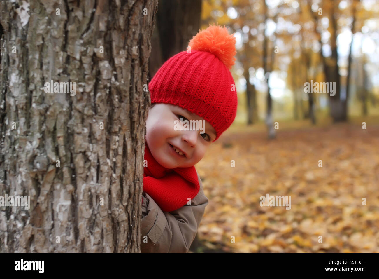 kid in autumn park hidden behind tree Stock Photo - Alamy