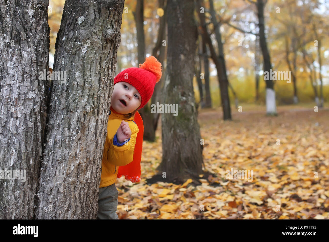 kid in autumn park hidden behind tree Stock Photo - Alamy