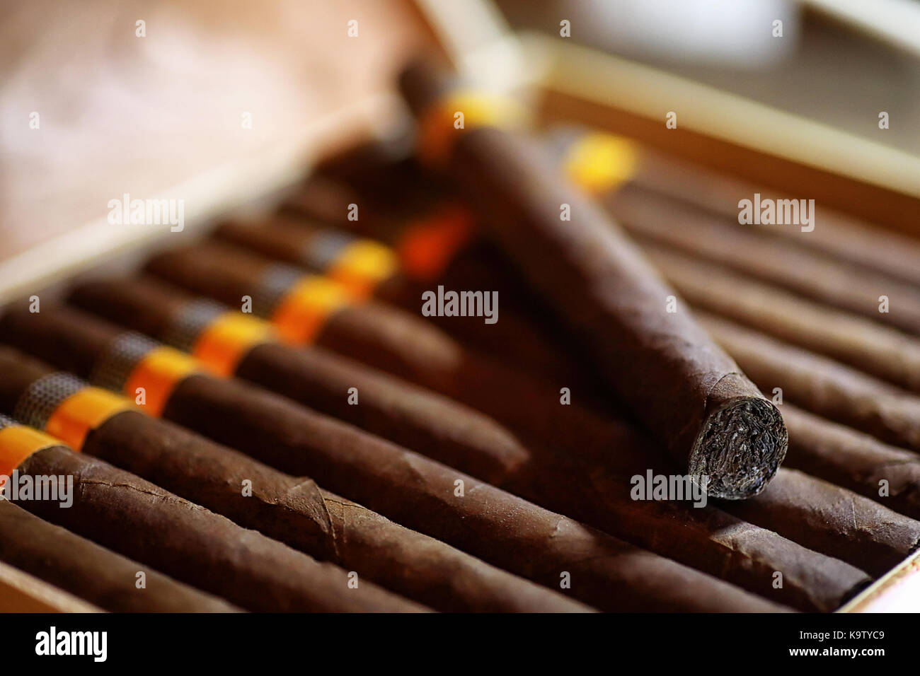 Cigar Box Stock Photos & Cigar Box Stock Images - Alamy