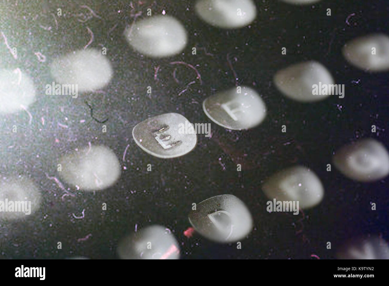 E one letter in focus on an old typewriter Stock Photo - Alamy