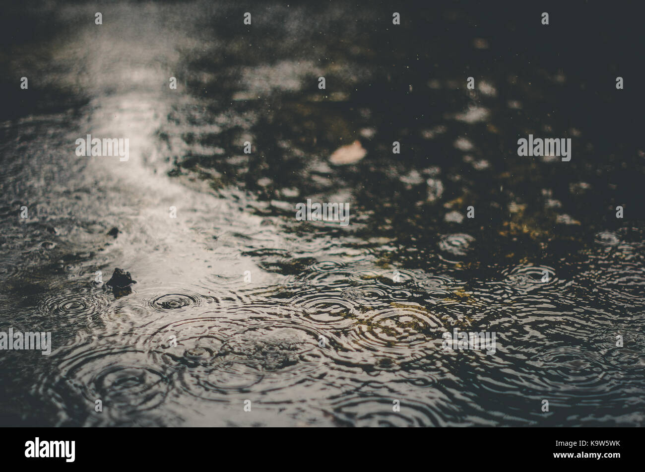 Rain raining street splash hi-res stock photography and images - Alamy