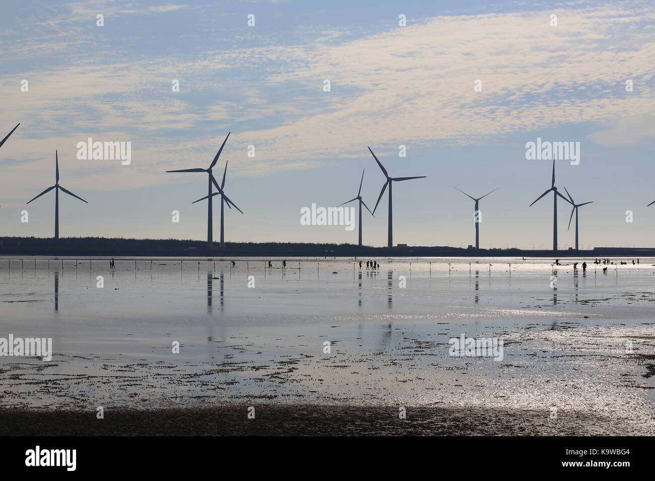 Gaomei Wetlands scenery , one of taiwan landmark. sunset of wind farm ...