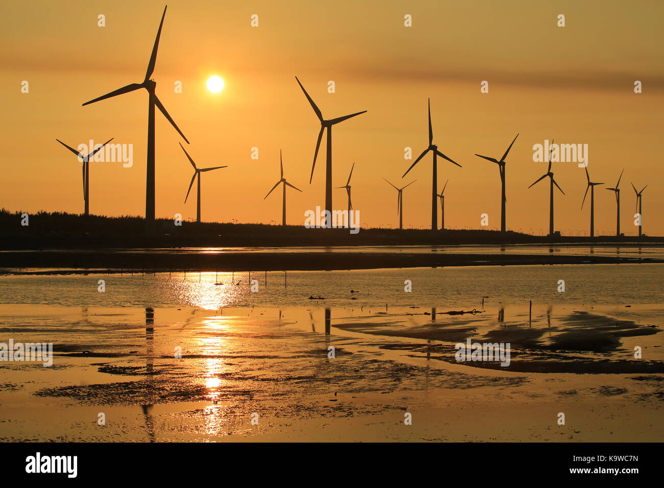 Taichung taiwan wetland hi-res stock photography and images - Alamy