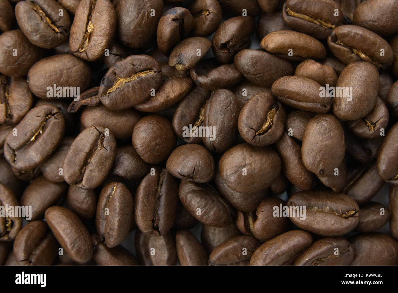Coffee beans close up ideal for background for text overlay. Love ...