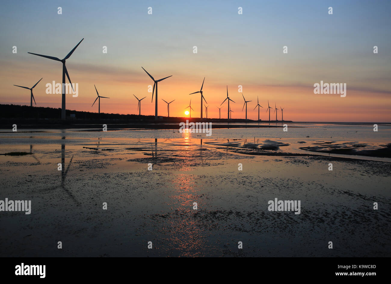 Gaomei Wetlands scenery , one of taiwan landmark. sunset of wind farm ...