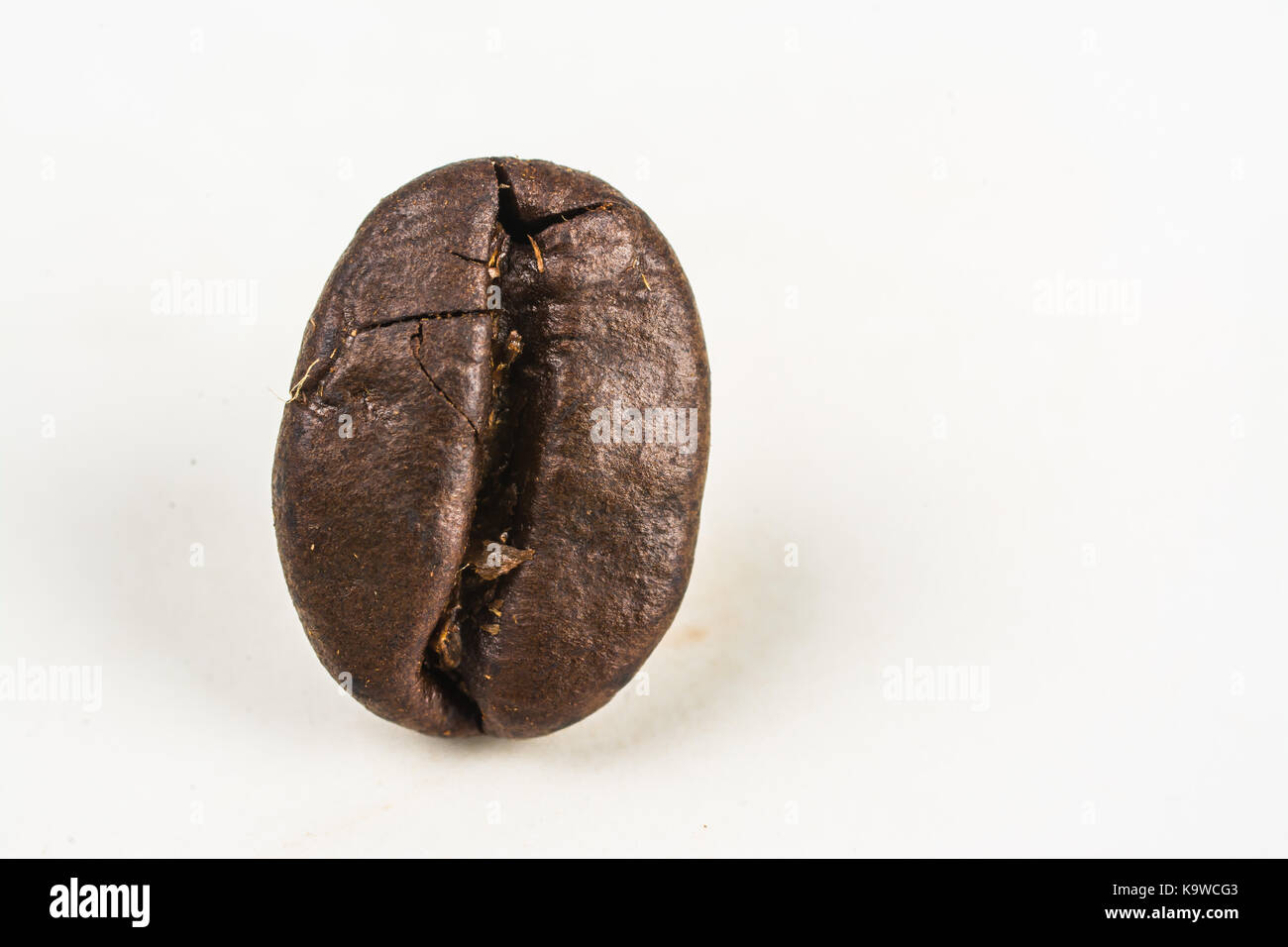 coffee bean on white background Stock Photo - Alamy