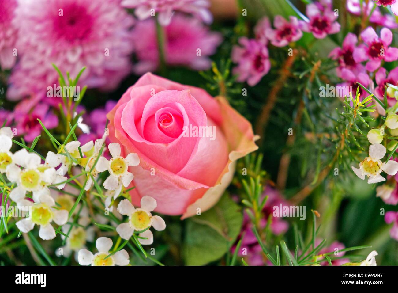 Roses And Mixed Flowers Stock Photo - Alamy