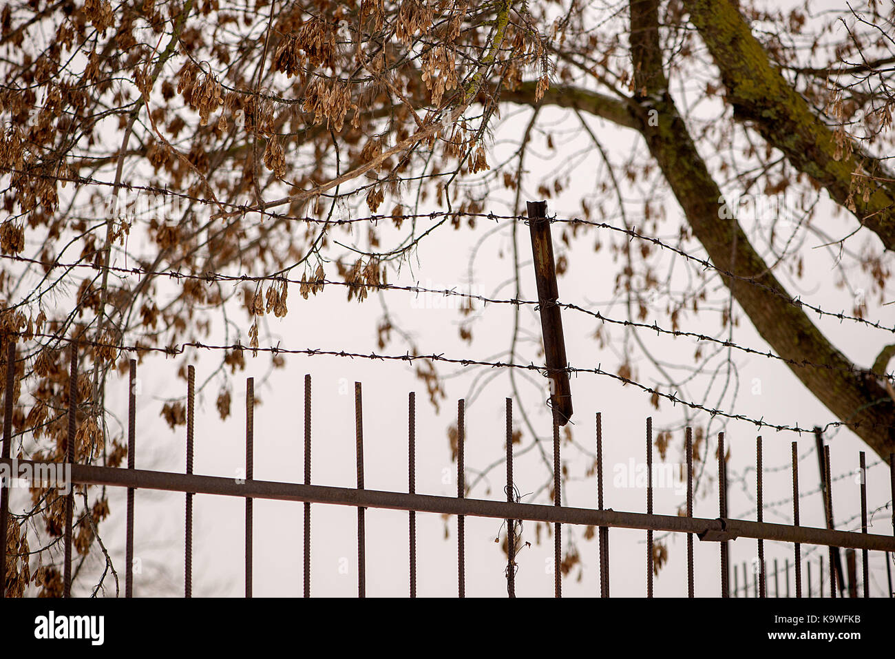 Railing Railings Barrier Fencing Wire Fence High Resolution Stock ...