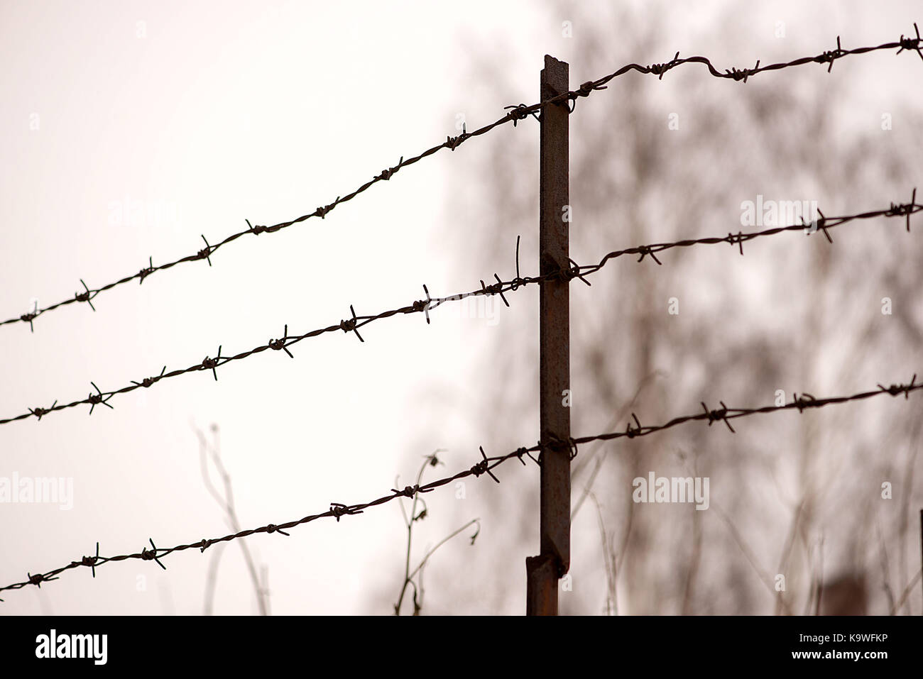 barbed wire fence Stock Photo - Alamy