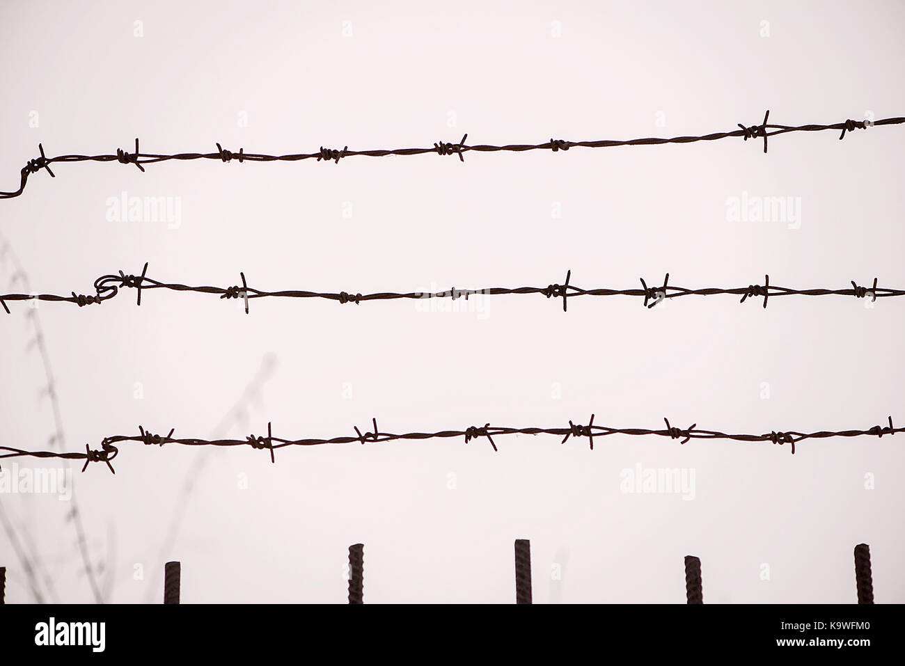 barbed wire fence Stock Photo - Alamy